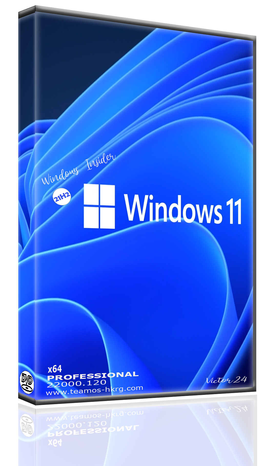 Windows 11 Pro 22000 120 21H2 X64 FRE EN US Update Aug 2021 Pre